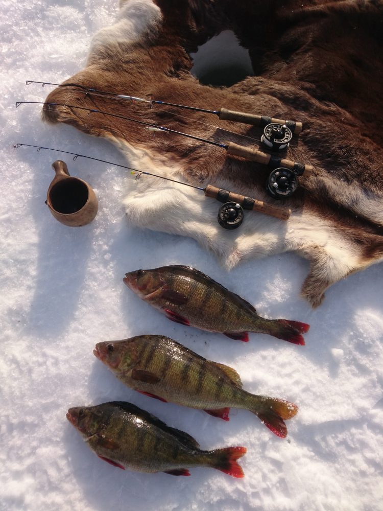 Ice fishing in Inari - Galddoaivi Safaris